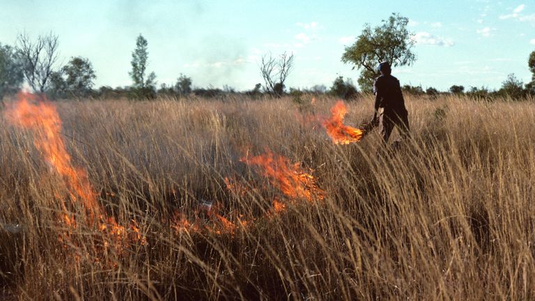 California budget calls for adopting Native American fire management plan
