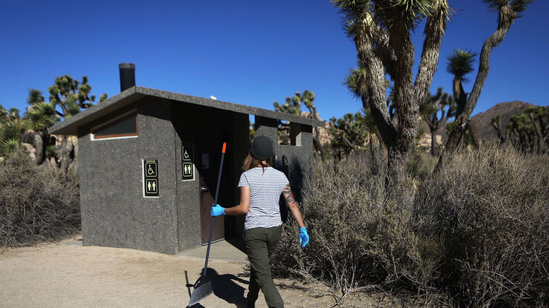 As cuts hit national parks, Joshua Tree is still scarred from 2019 government shutdown - Axios ...
