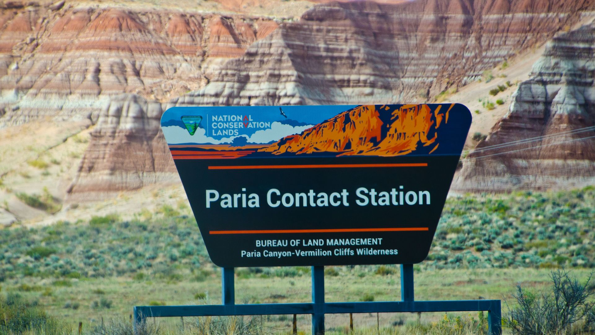 Trump taps oil and gas trade group chief for BLM