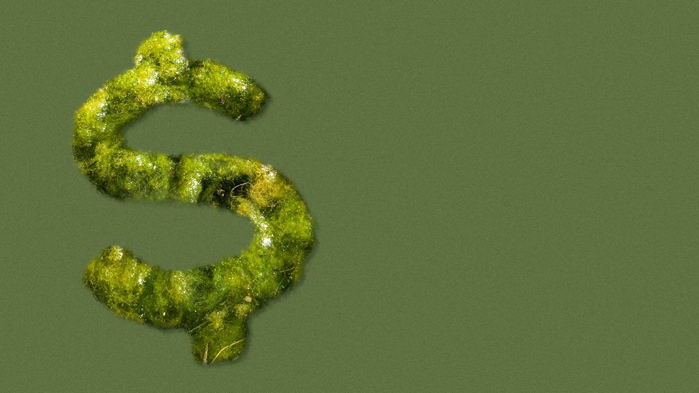 Rootless is raising for a $1.2M seed round through retail investors