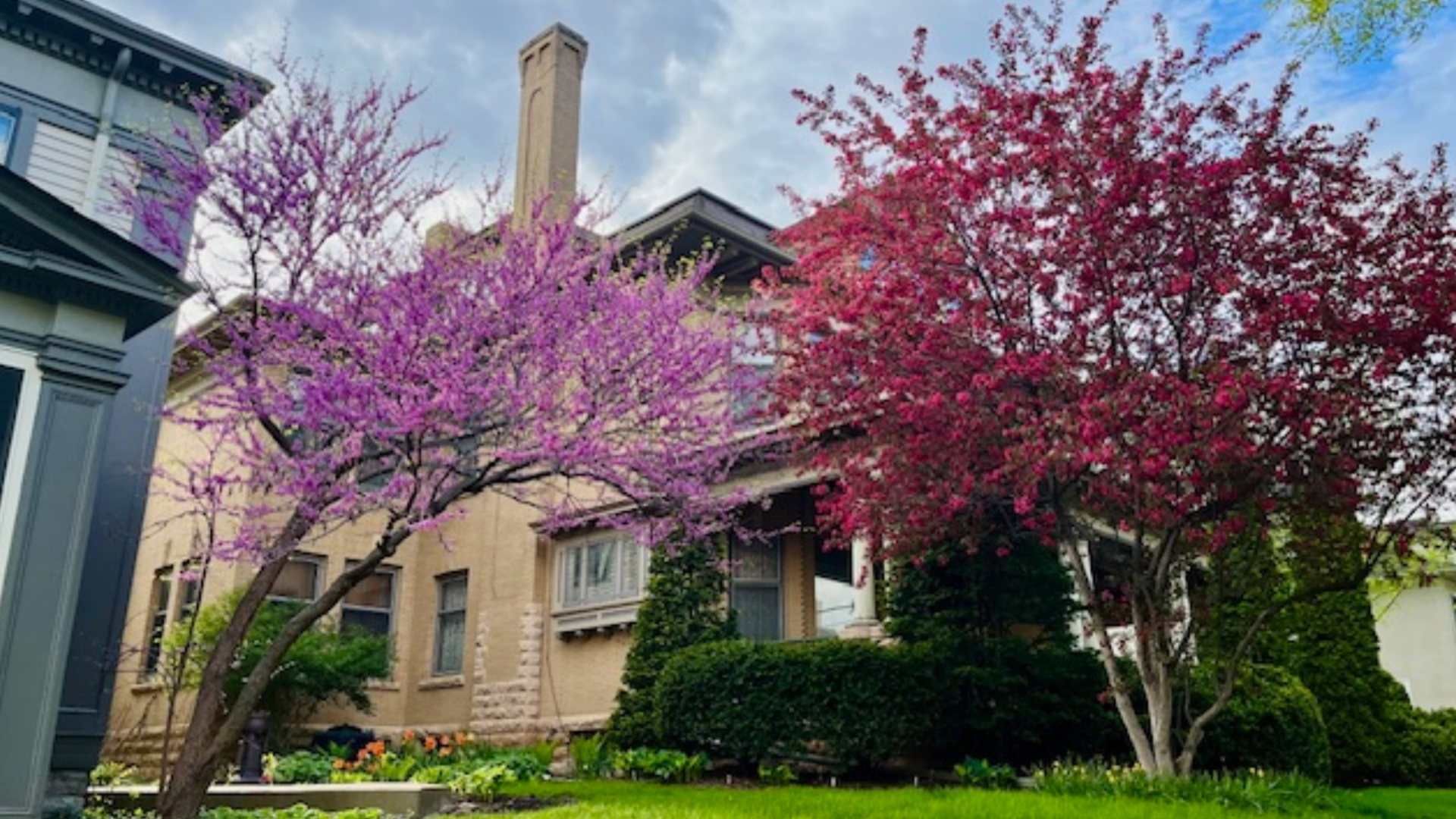 Photos: Spring has arrived in the Twin Cities and flowers and trees are ...