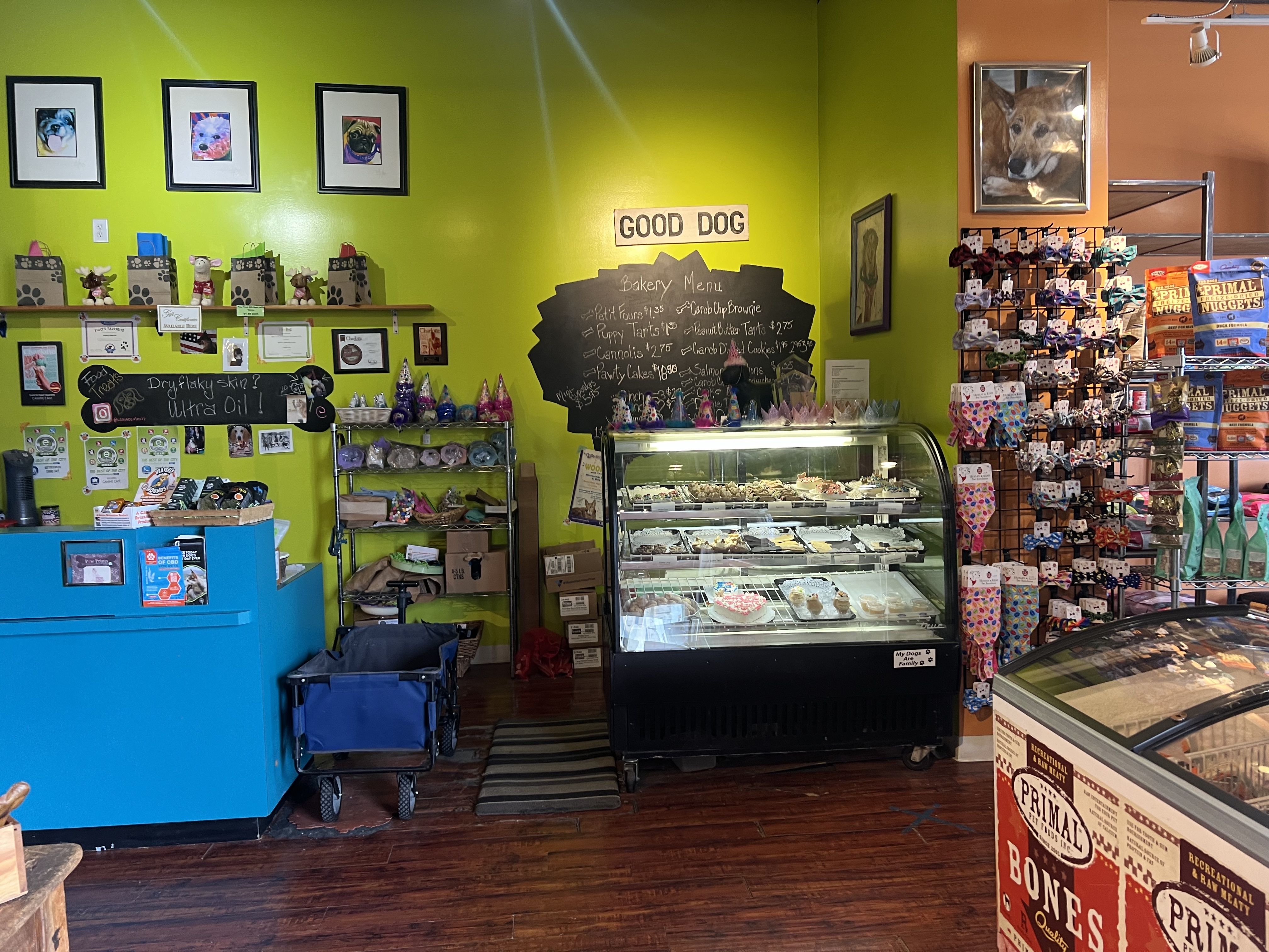 Charlotte's animal shelters are overcrowded. Here's how to take a dog ...