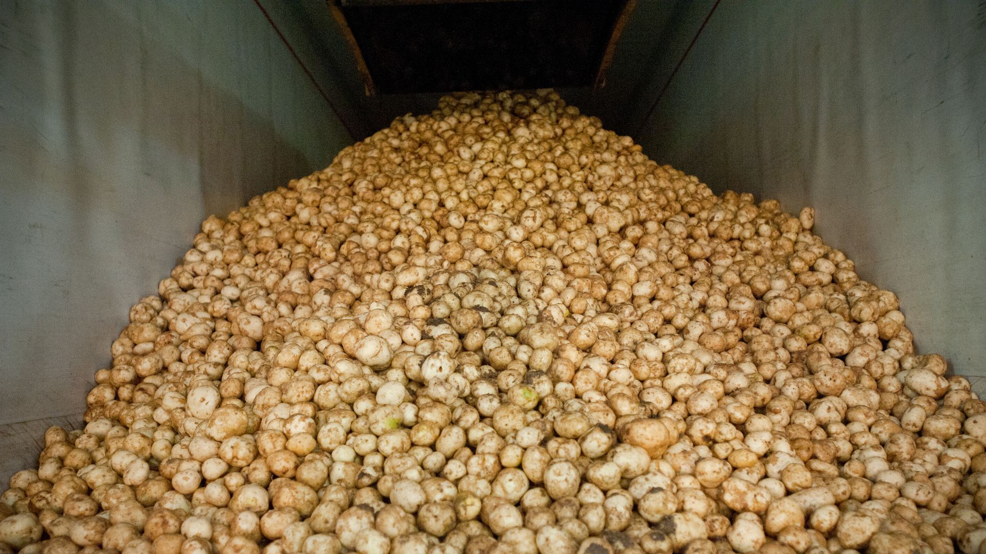 The story behind Ohio spuds - Axios Columbus