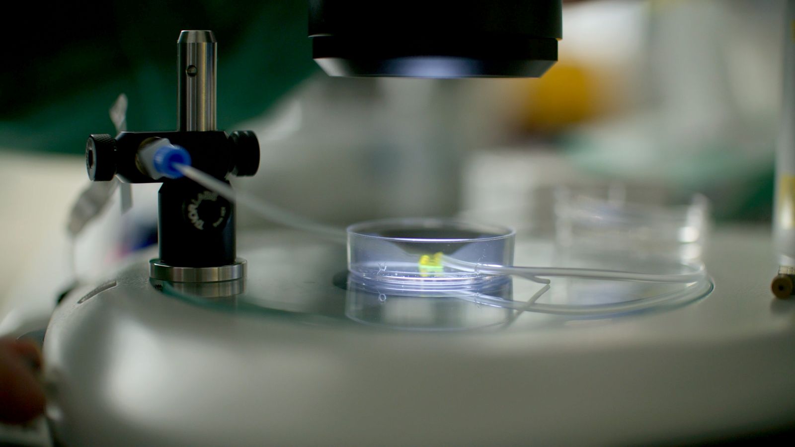 Fertilis introduced a 3D-printed petri dish for more automated IVF