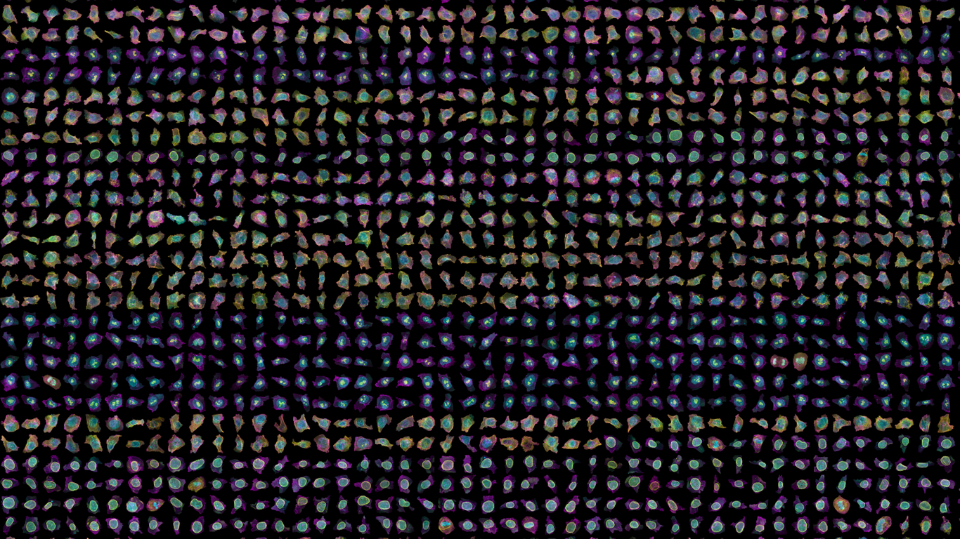 An Ai That Can Predict Cell Structures 7841