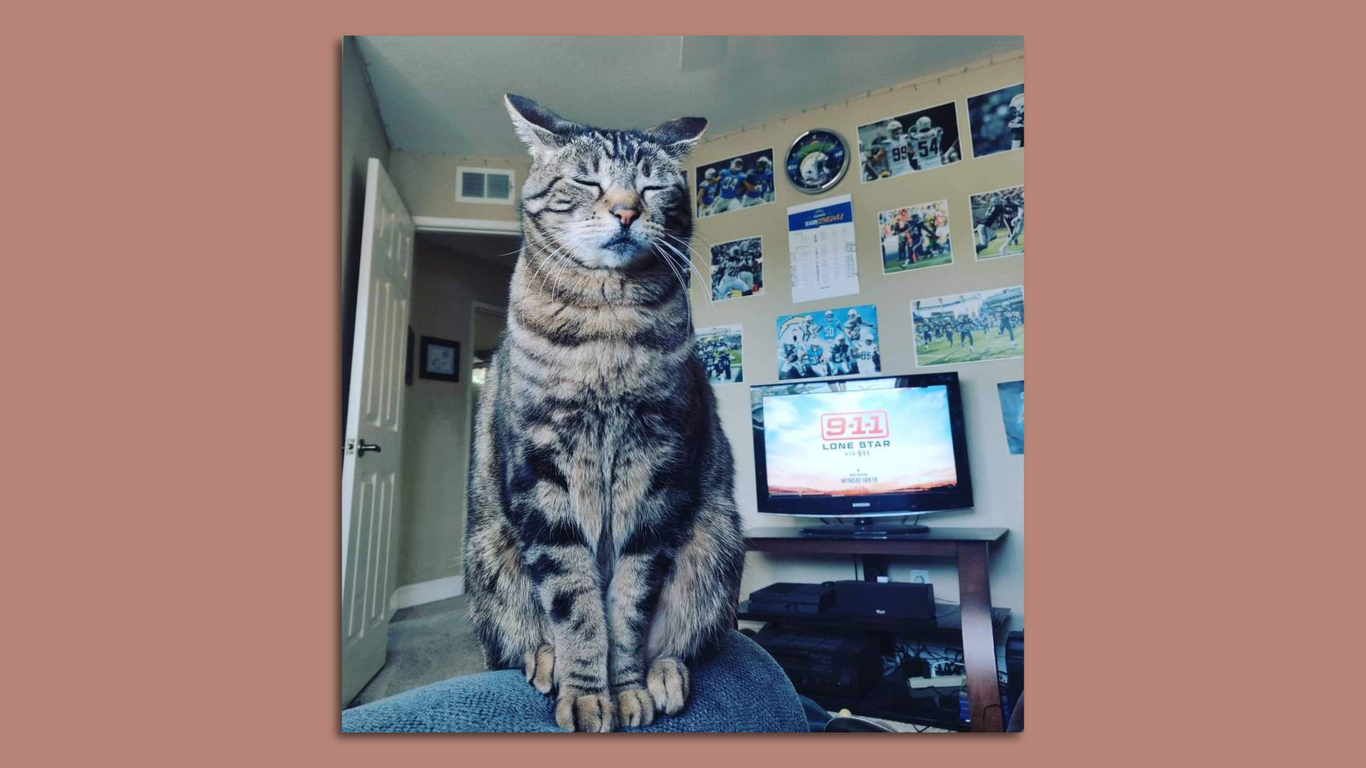 1 photo to go: Take a paws - Axios San Diego