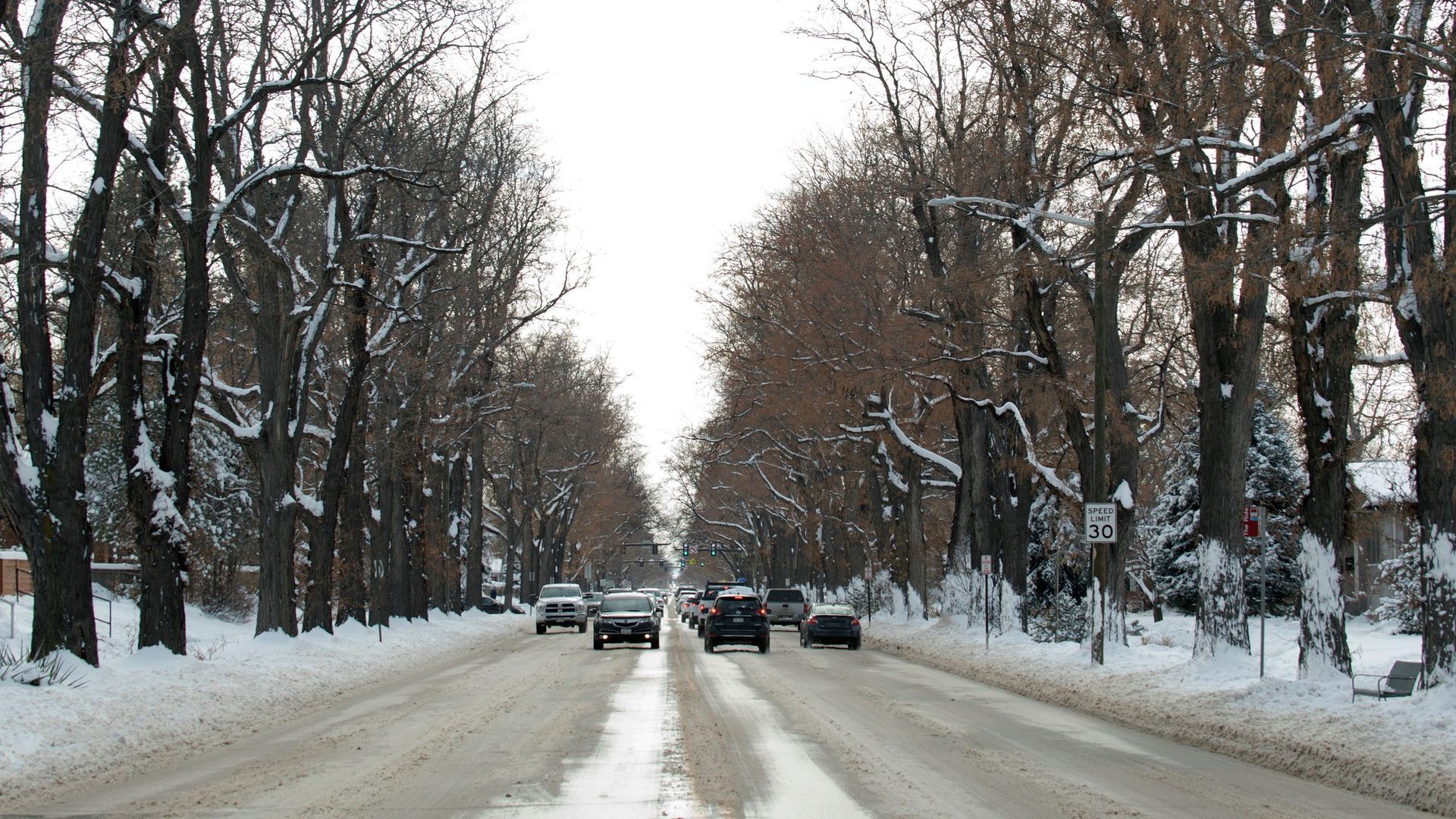 Chilly and snowy Thanksgiving forecast ahead for Colorado - Axios Denver