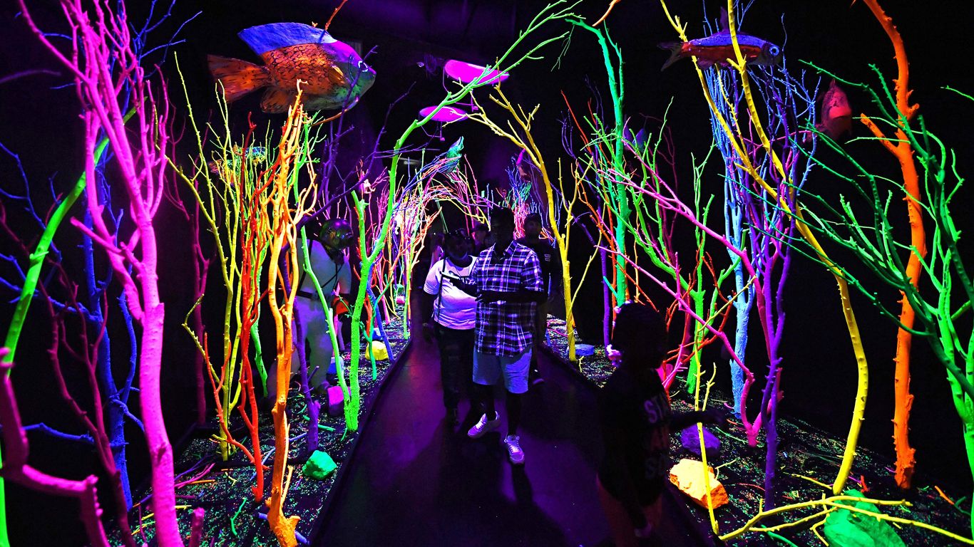 Here are the artists Meow Wolf is collaborating with in Houston - Axios ...