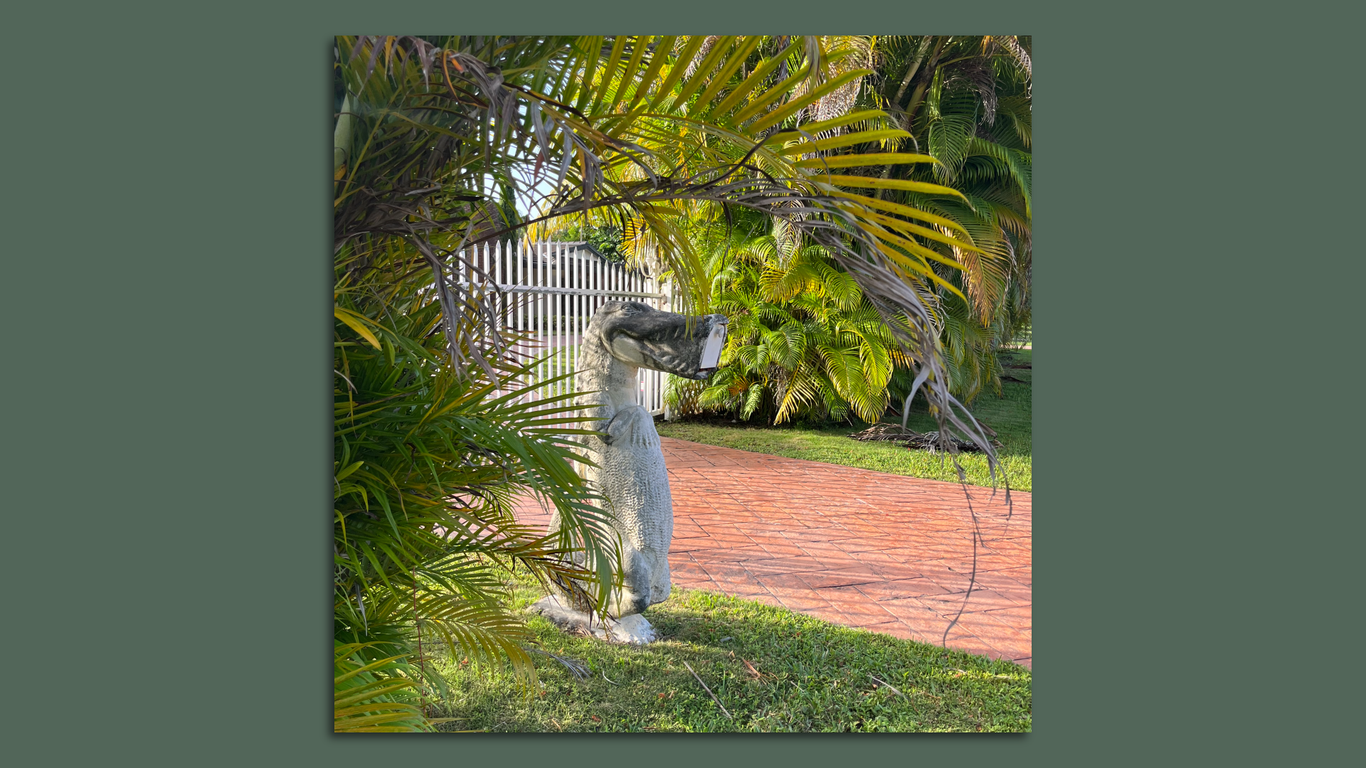 Check out this alligator mailbox in Miami - Axios Miami