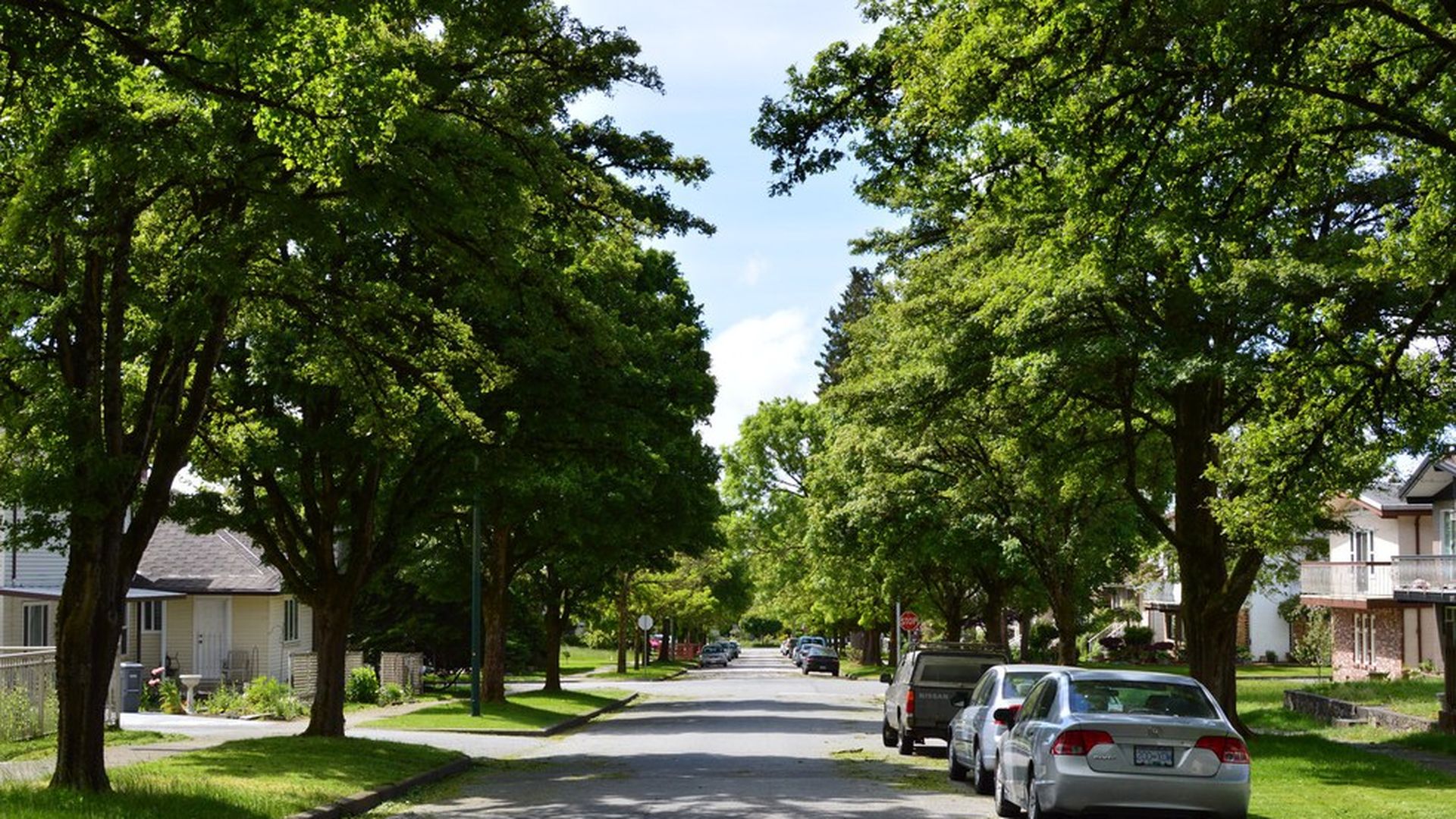City trees save heating costs