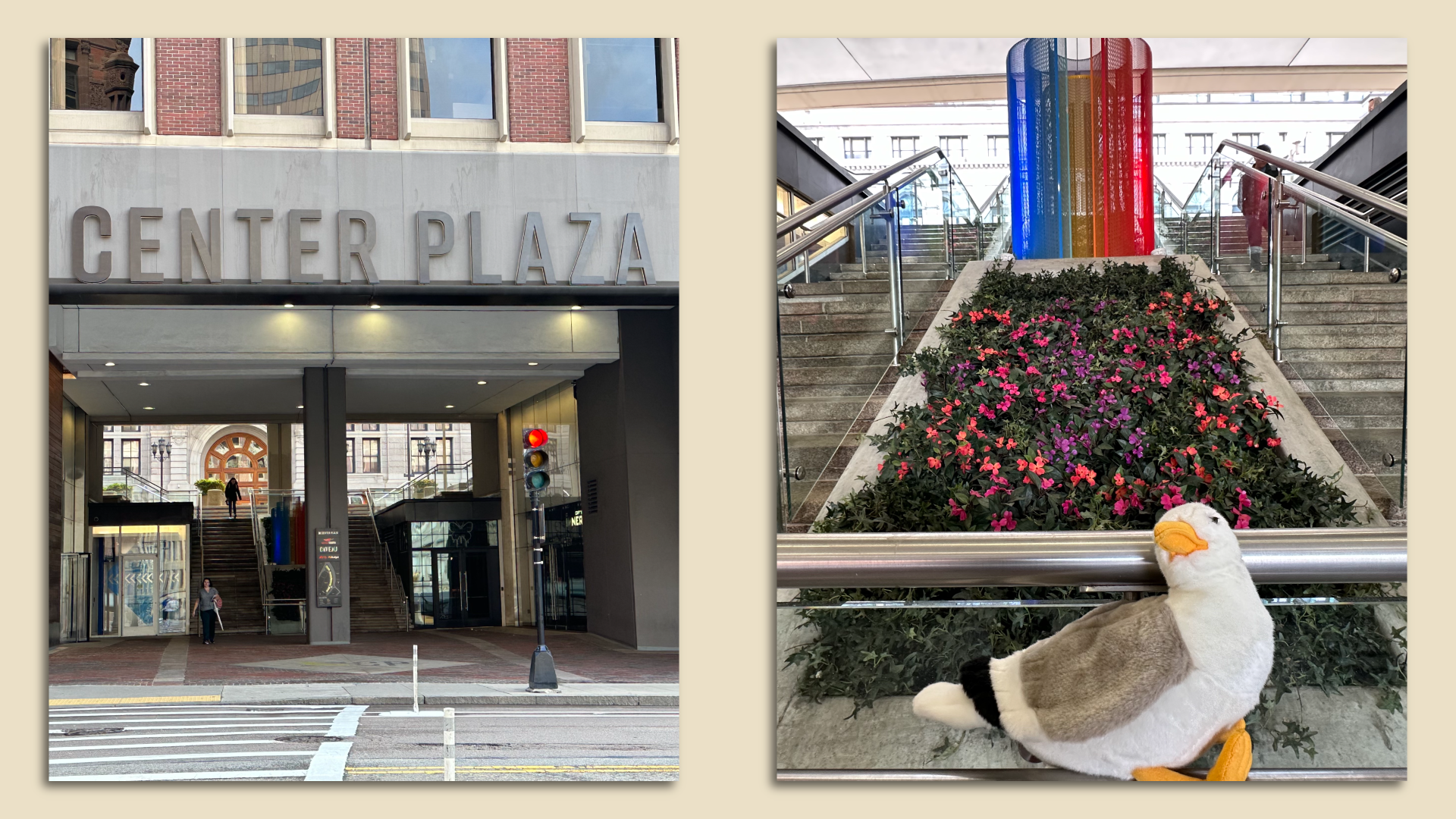 Where's Townie? Center Plaza - Axios Boston