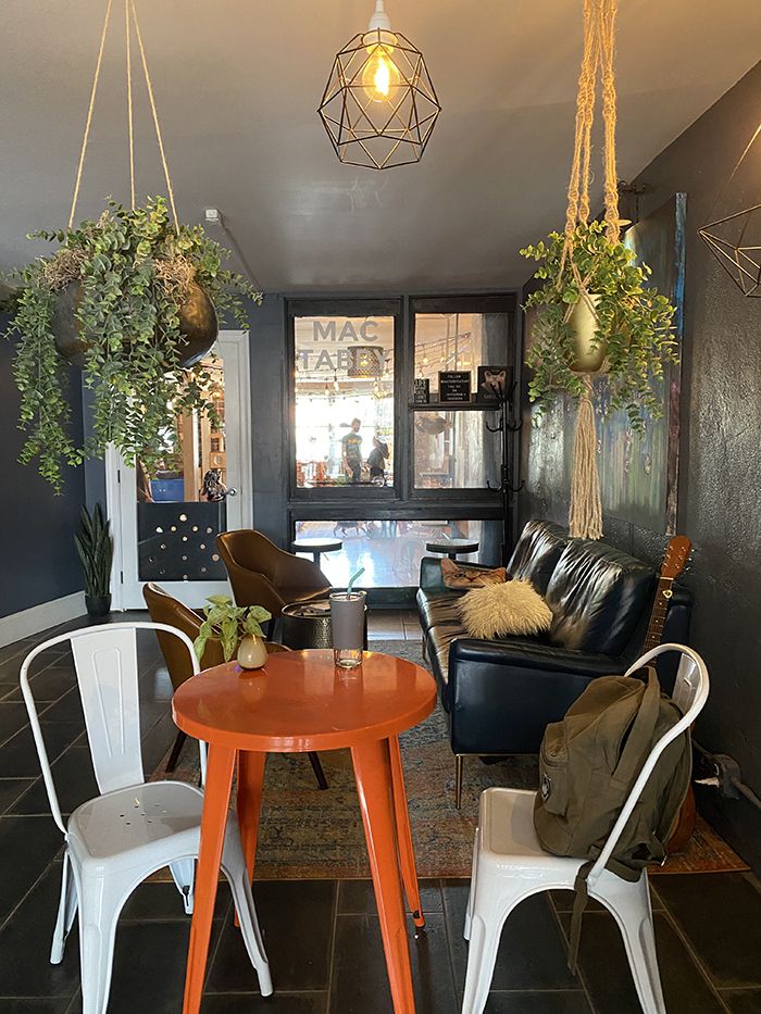 Rent out this cat cafe in NoDa for $95+ - Axios Charlotte