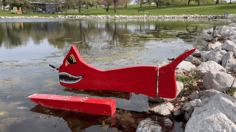 Meet Urbandale's unique goose chaser - Axios Des Moines