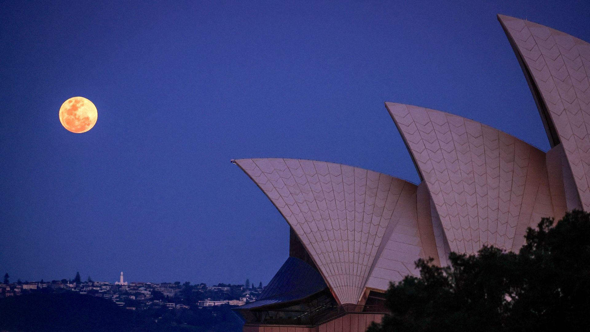 Harvest moon: The last supermoon of the year illuminates skies