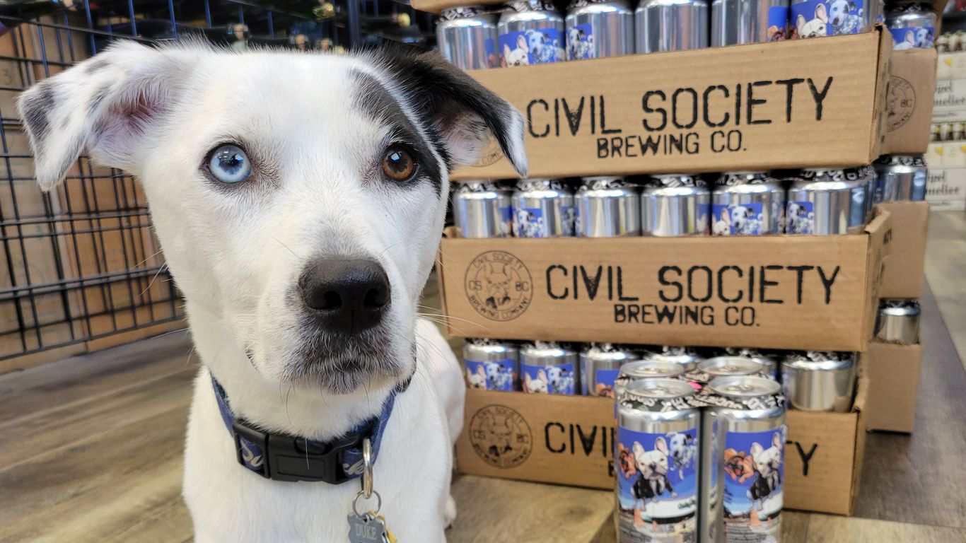 Meet Richmond's favorite shop dogs - Axios Richmond