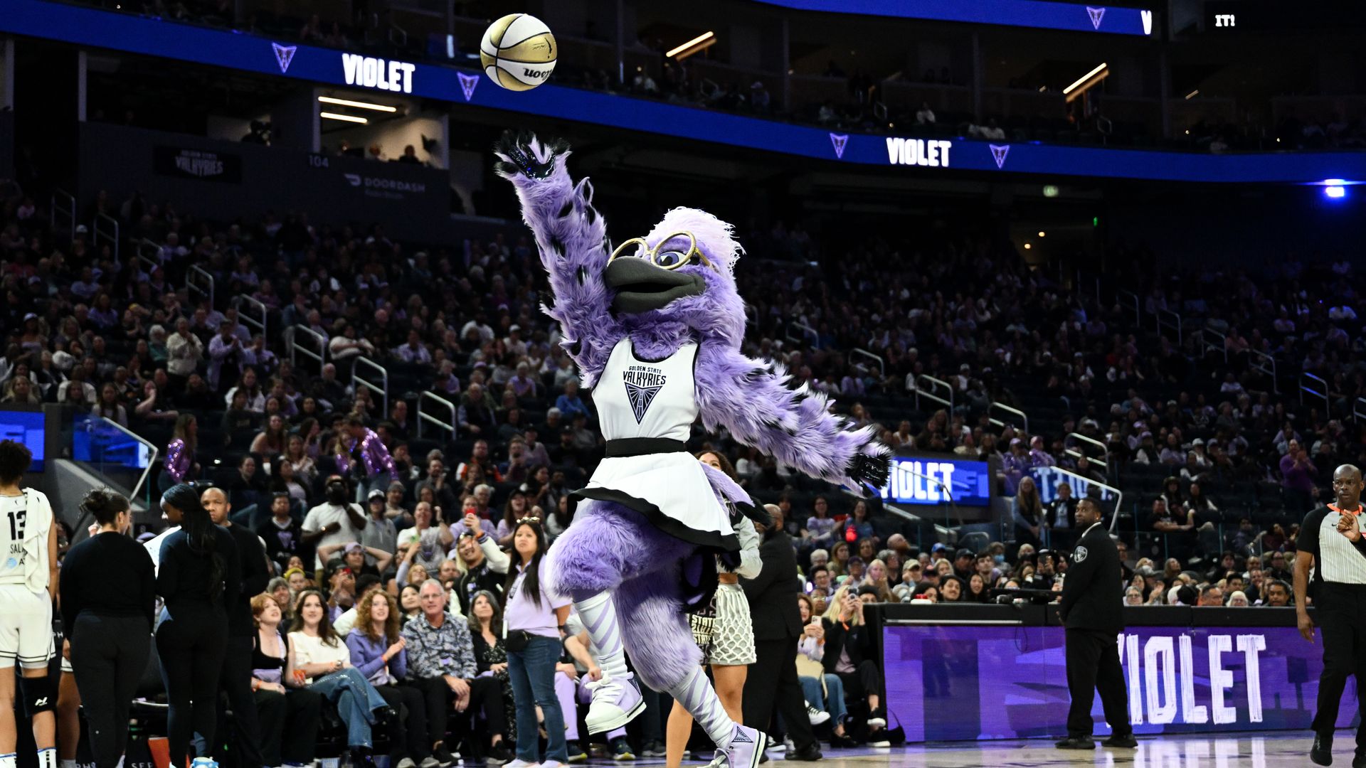 Mixed fan reaction to Valkyries' new mascot, Violet the raven - Axios ...