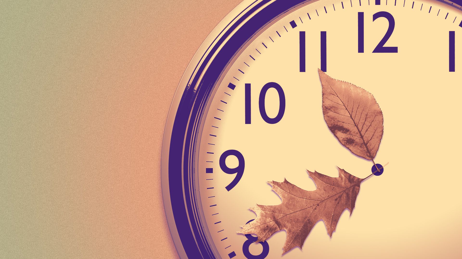 Fall foliage: Why leaves are changing color later