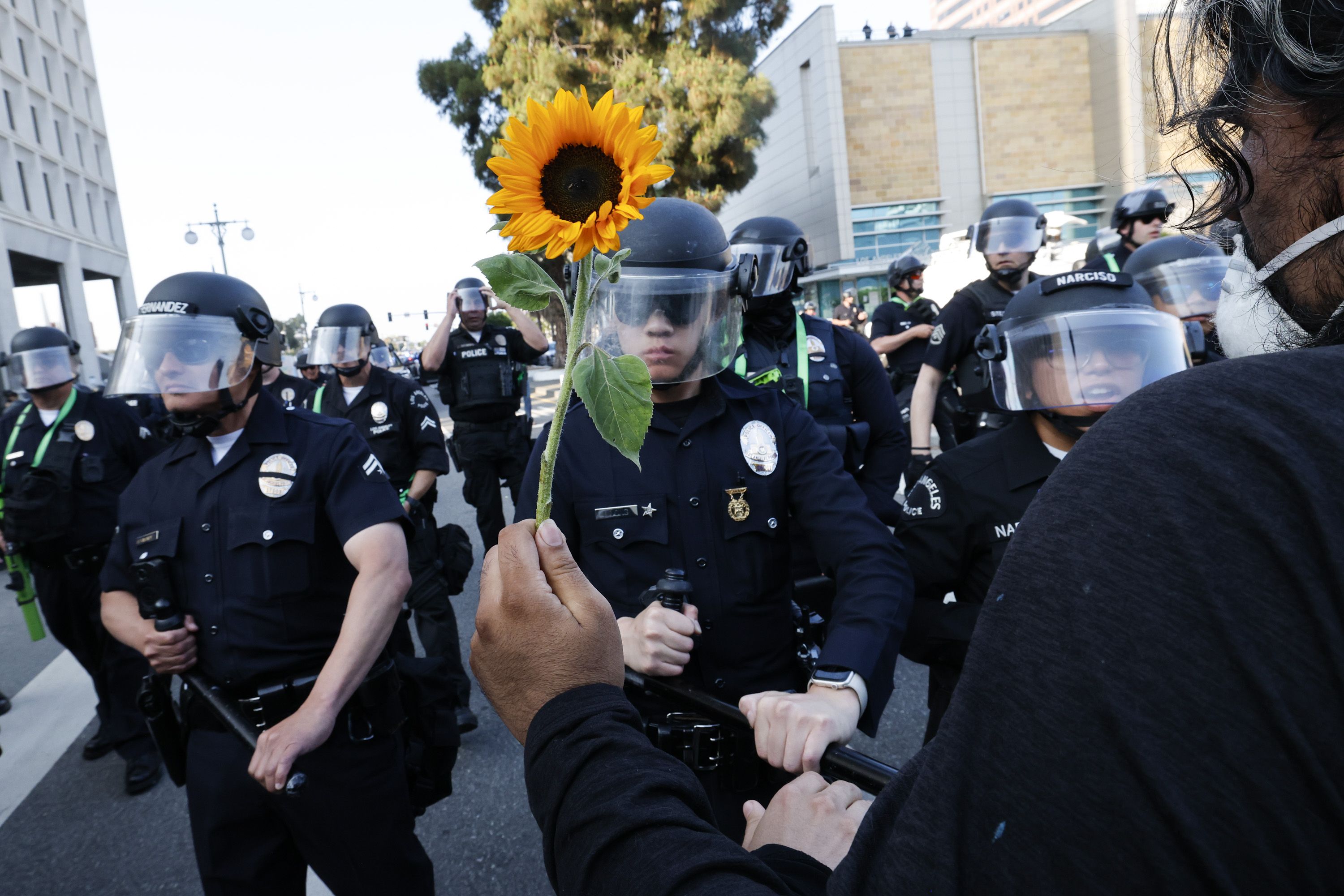 LA protest photos: National Guard in Los Angeles, Marines activated