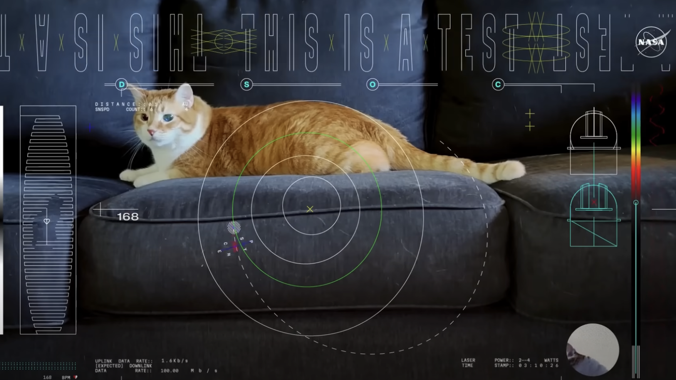 NASA streams cat video from deep space using laser