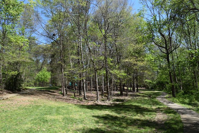 Sardis Park is Charlotte’s most overlooked weekend play area - Axios ...