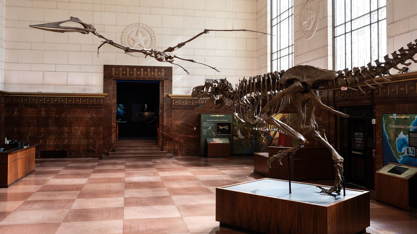 The Texas Memorial Museum reopens with new name - Axios Austin