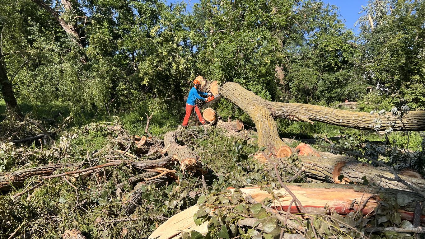 Urbandale fundraises to replant fallen trees - Axios Des Moines