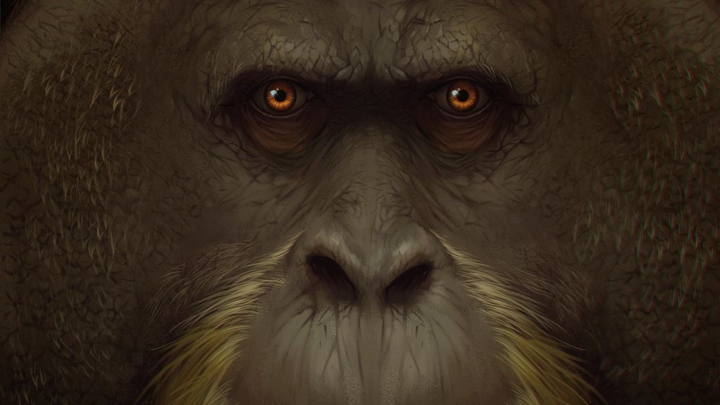 How the largest primate to roam Earth went extinct