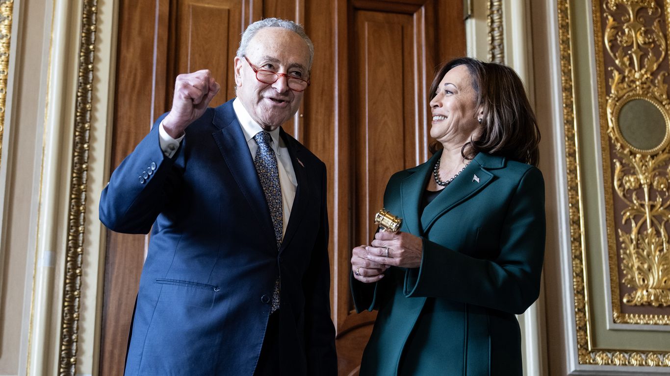 Schumer praises Harris platform after Democratic loss