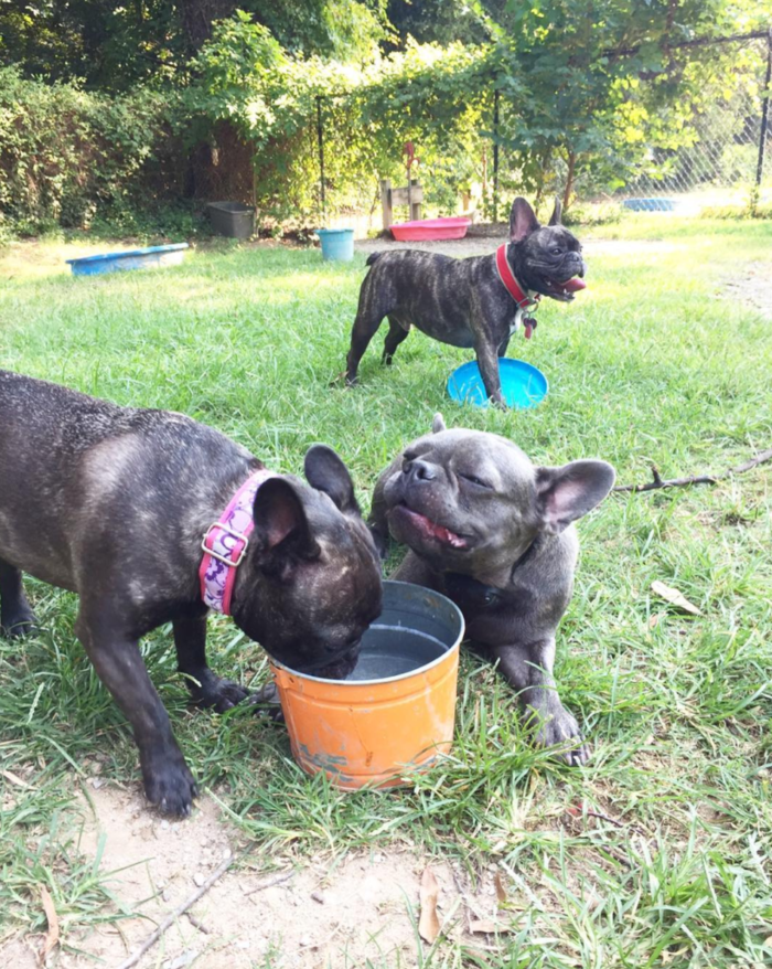 A quick primer on Charlotte-area parks and amenities - Axios Charlotte