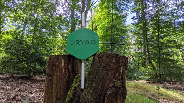 Dryad raises €5.6M for early wildfire detection