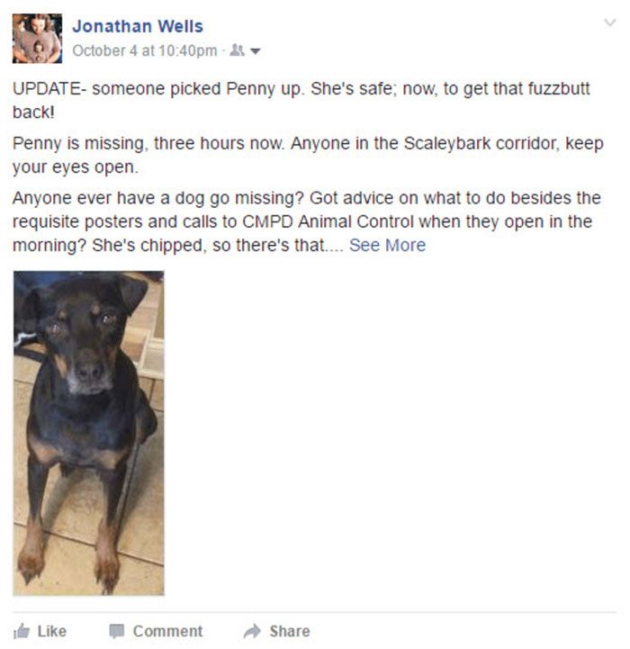 What to do if you lose your dog in Charlotte? My experience losing and ...