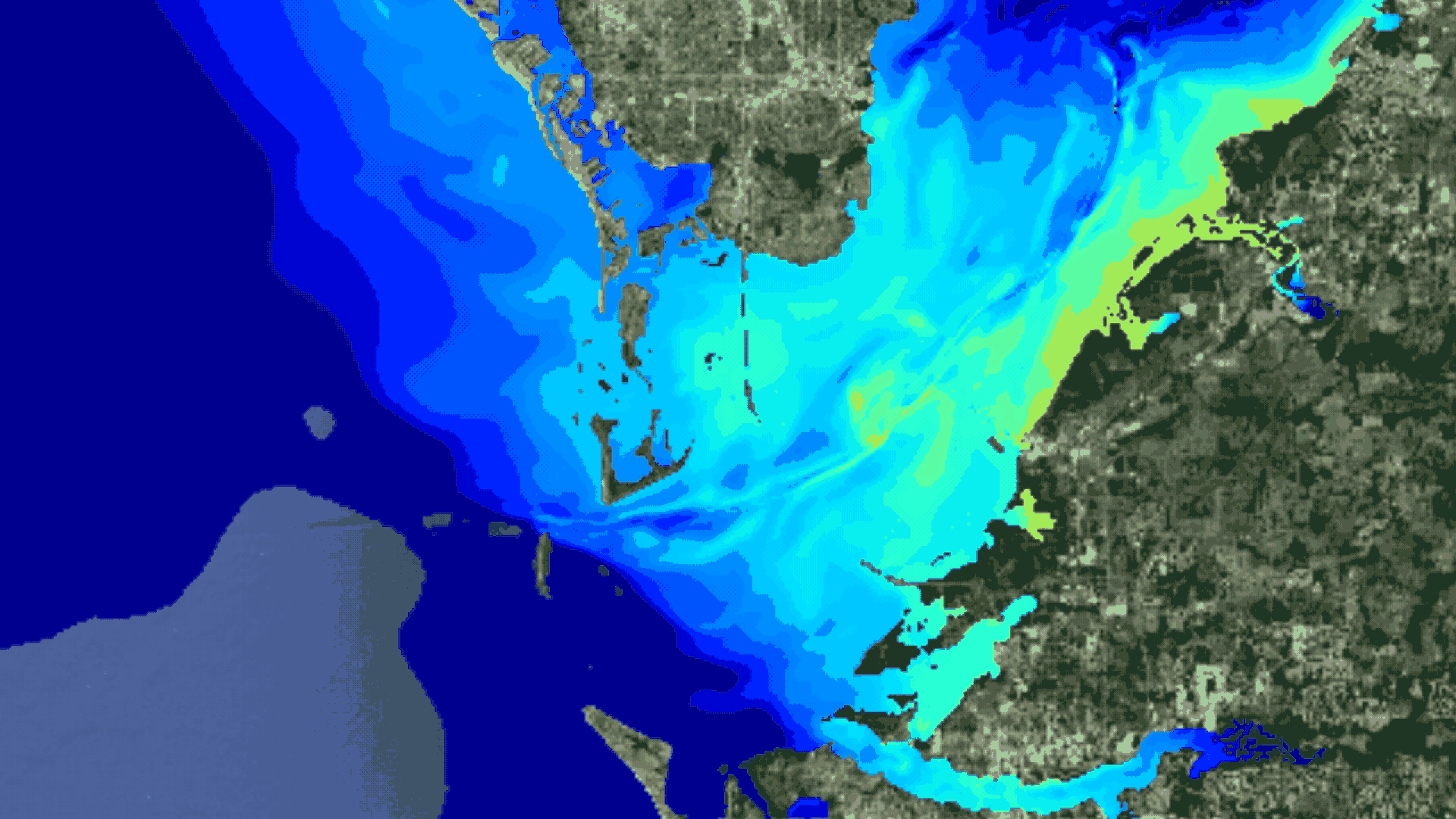 Tide Chart Tampa Bay