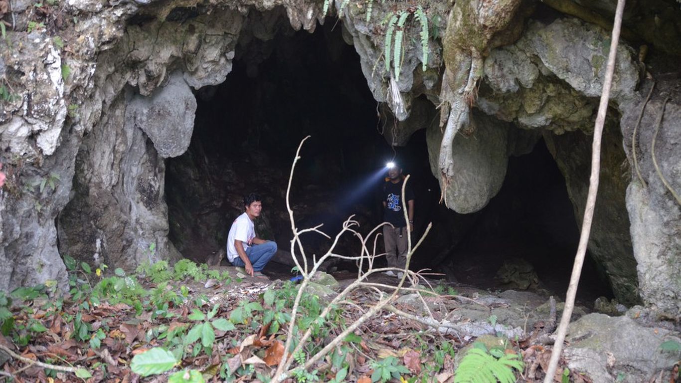 Indonesian cave reveals earliest evidence of our ancestors