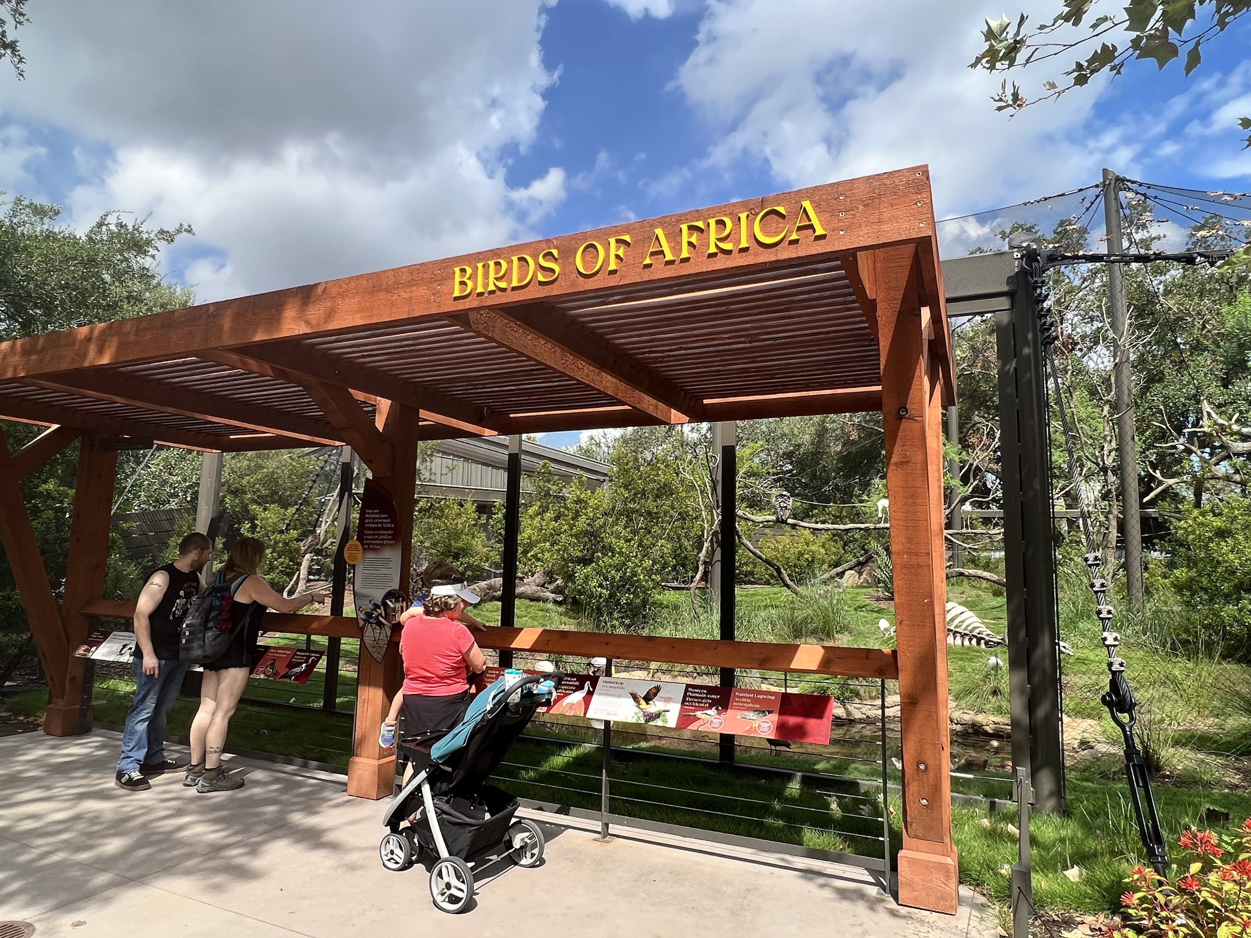 The Houston Zoo’s Birds of the World exhibit opens - Axios Houston