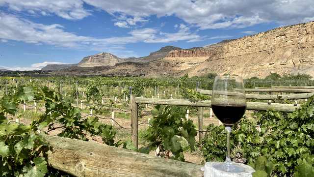 Palisade: Don't miss Colorado wine country for peaches and grapes ...