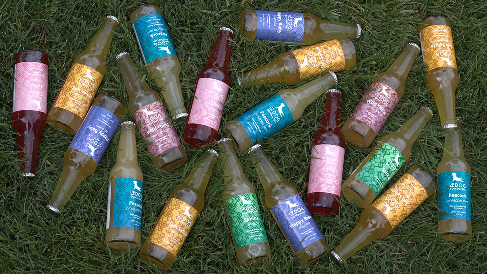 Here’s how a kombucha startup is growing its business in Charlotte ...