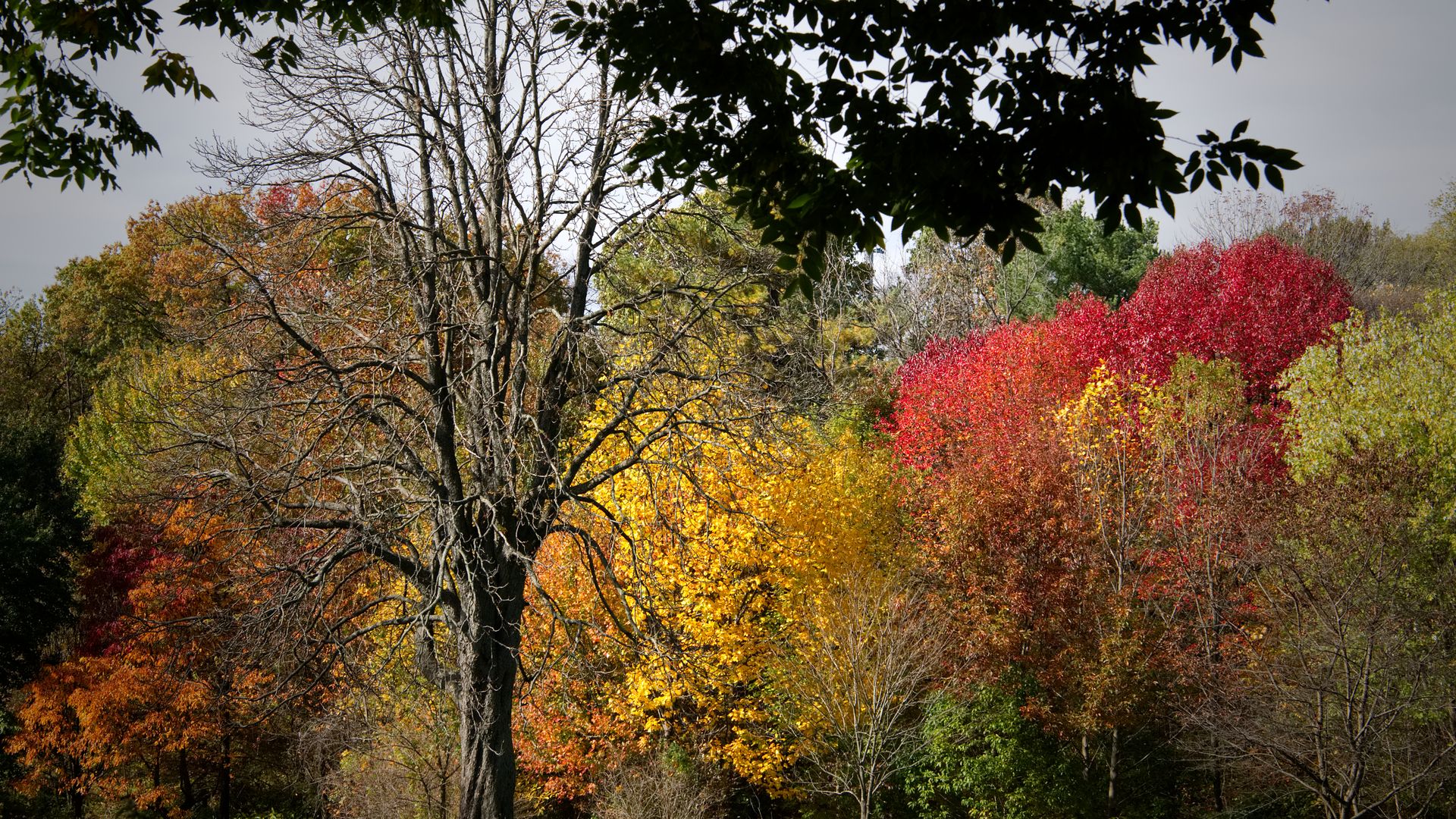 Pennsylvania fall foliage forecast: What to expect after hot summer ...