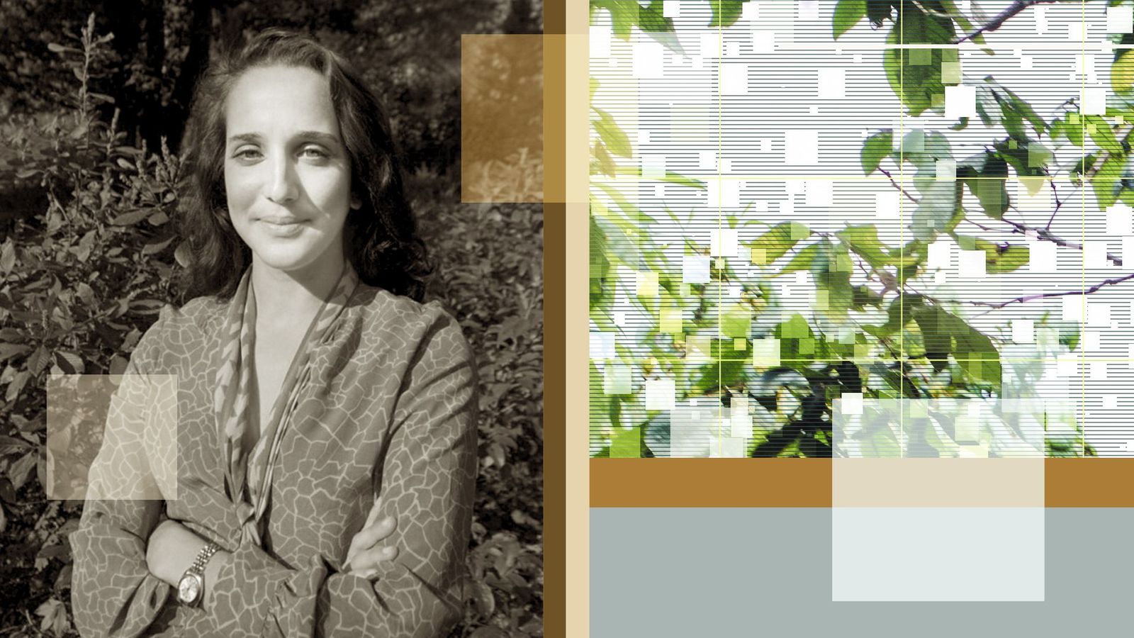 Clea Kolster of Lowercarbon Capital on sodium-ion batteries, fusion