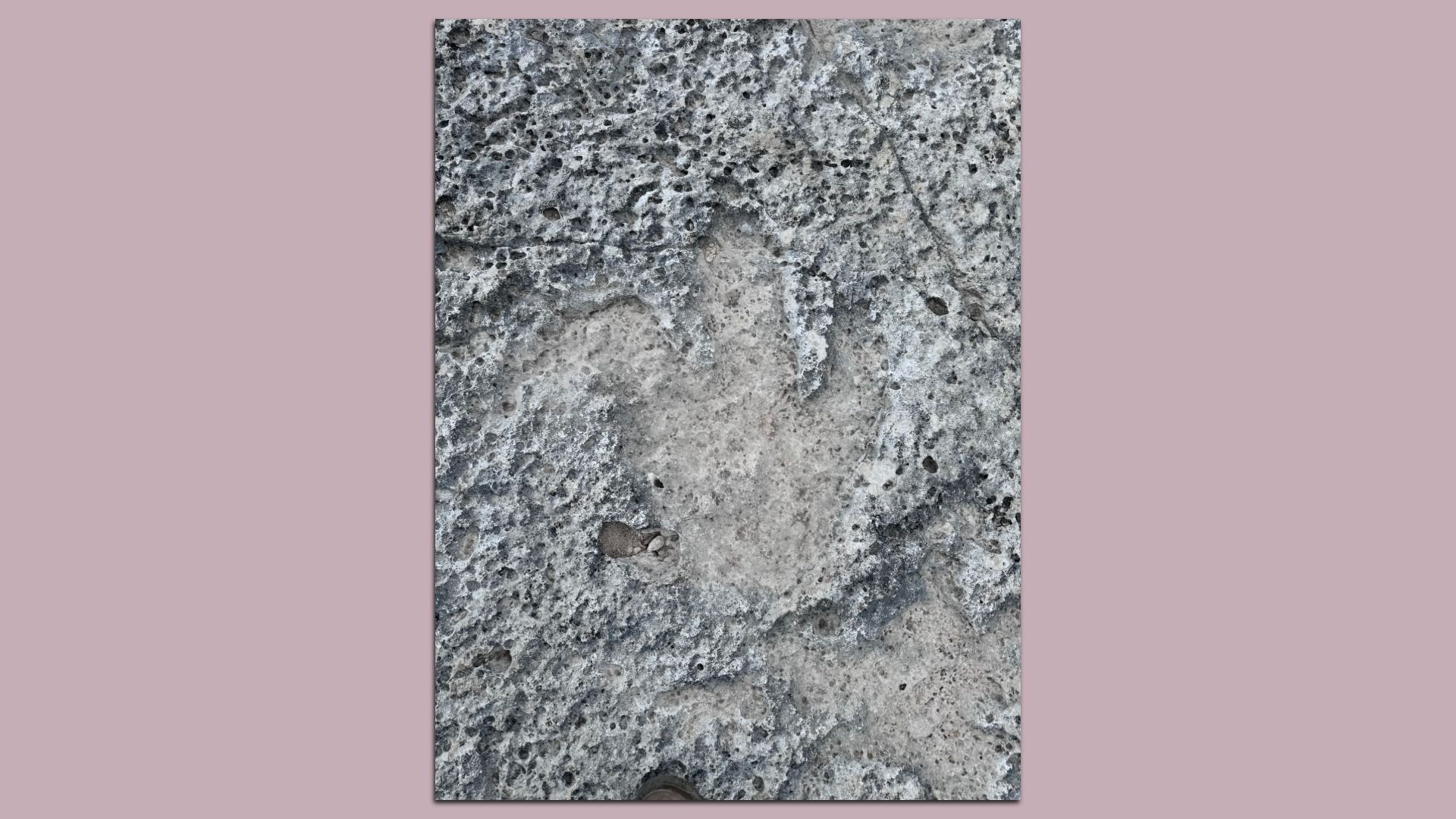 Dinosaur tracks found by flood recovery volunteers - Axios Austin