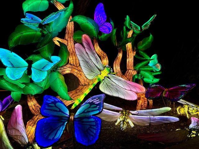 New '"Glowing Wild" lantern event lights up the Denver Zoo this spring ...