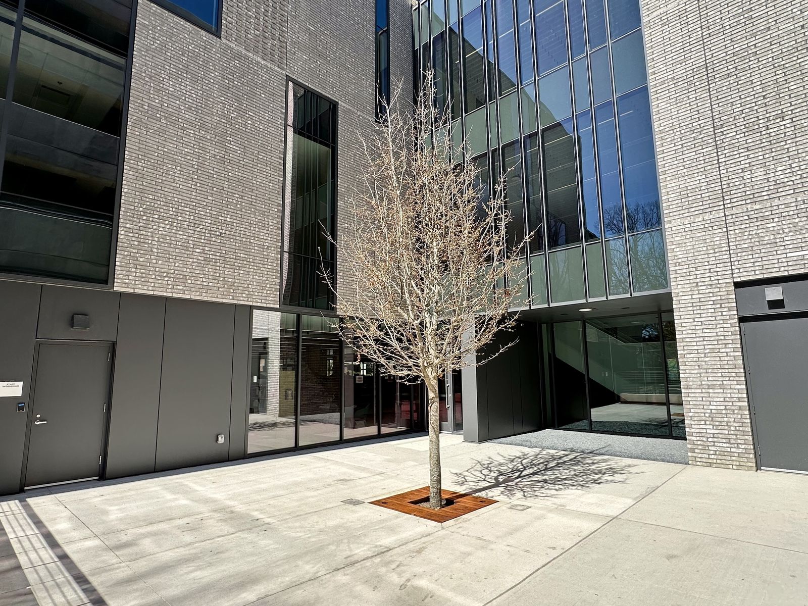 Carrboro's new $42 million library is open, adding community spaces and ...