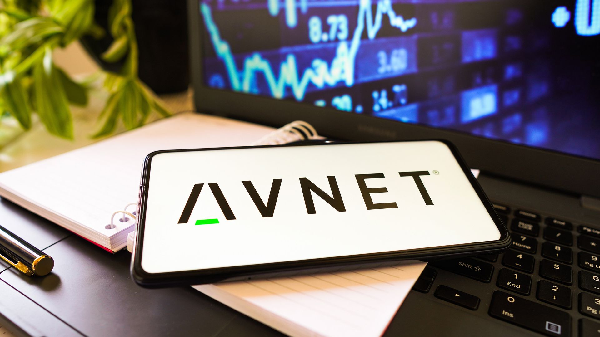 10 Arizona companies made the 2024 Fortune 500 list - Axios Phoenix