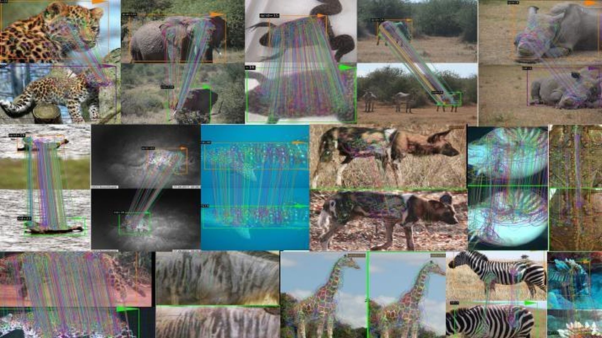 Using AI to solve mass extinction