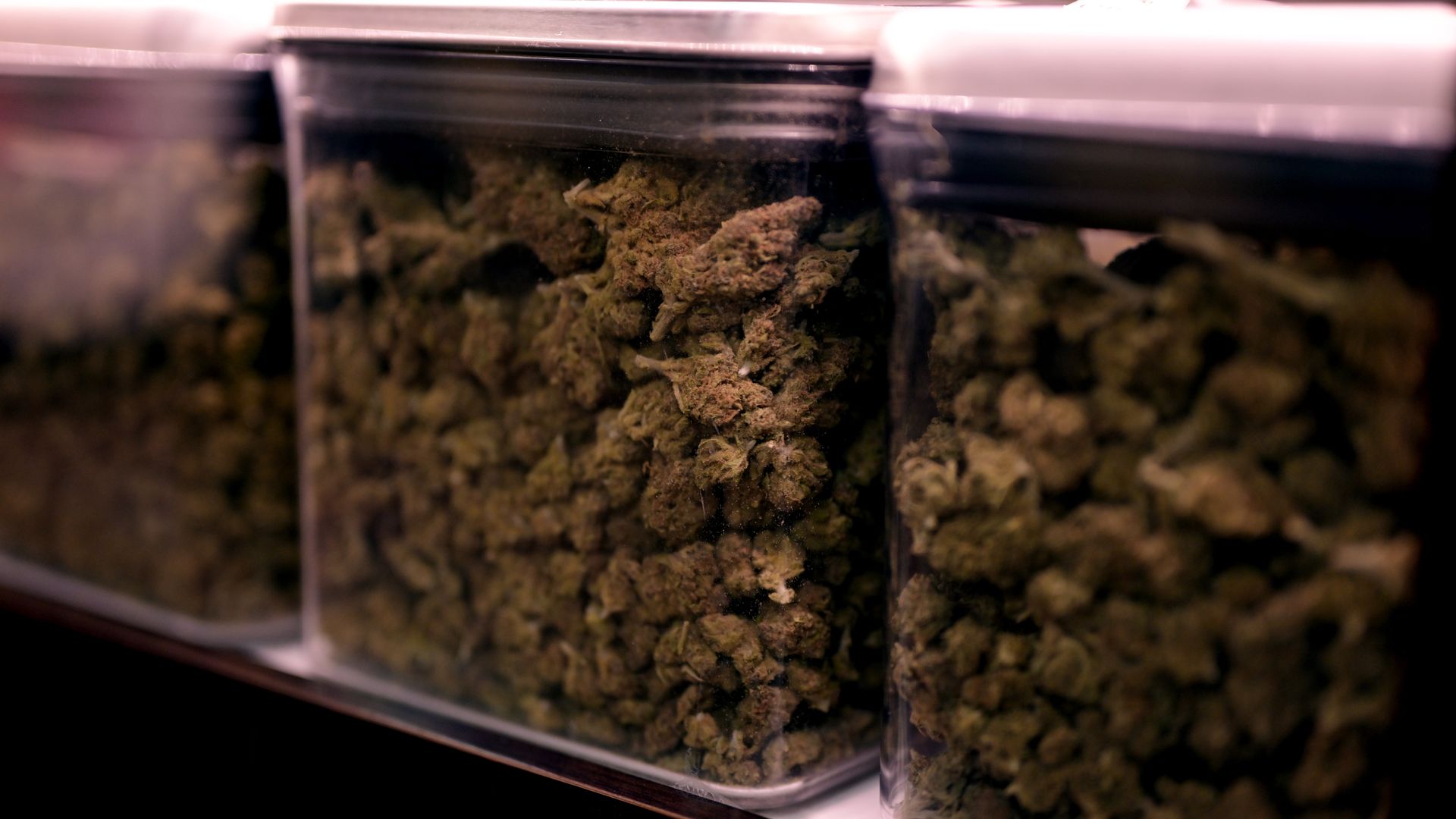 Colorado Springs begins accepting recreational marijuana licenses despite legal fight - Axios Denver