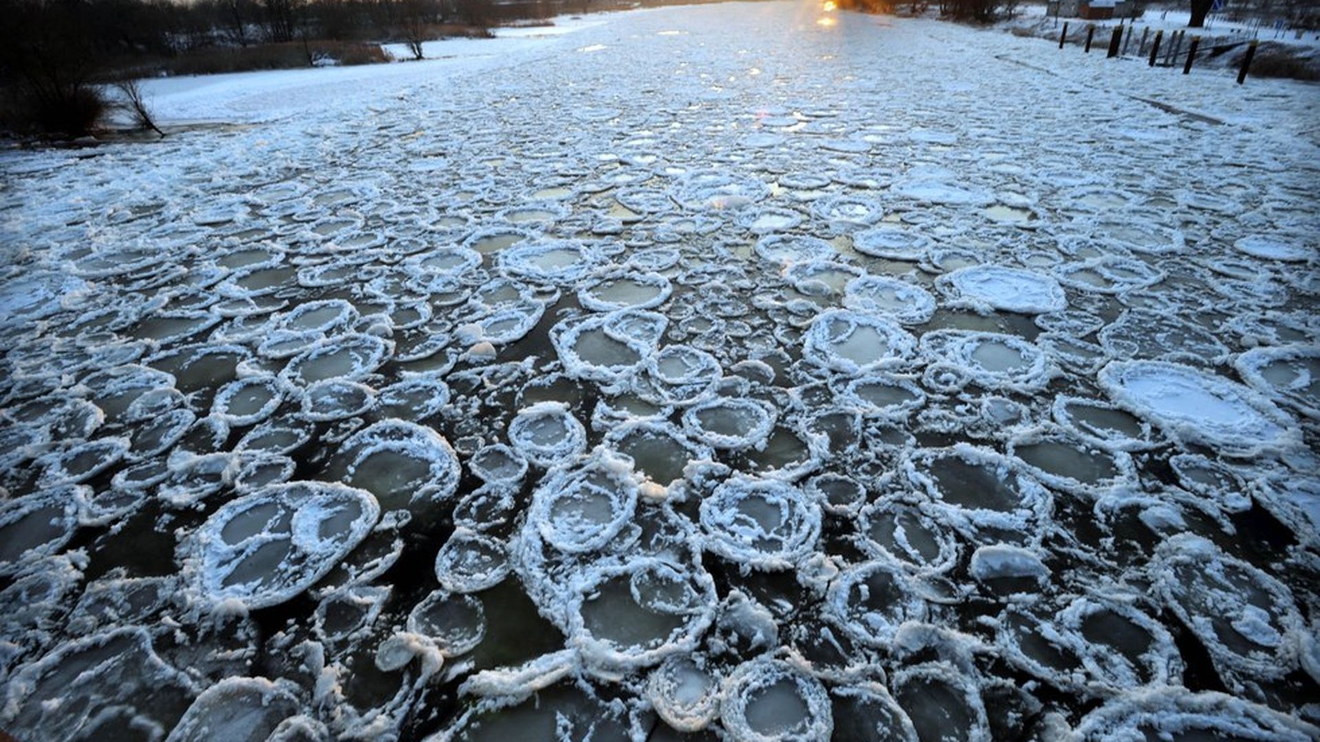 Dormant bacteria trapped in ice could be released by climate change