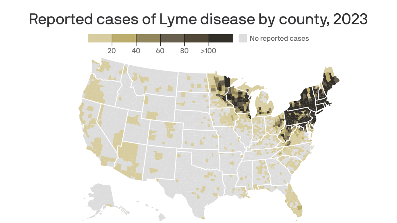 What are Lyme disease symptoms? Justin Timberlake's diagnosis, explained