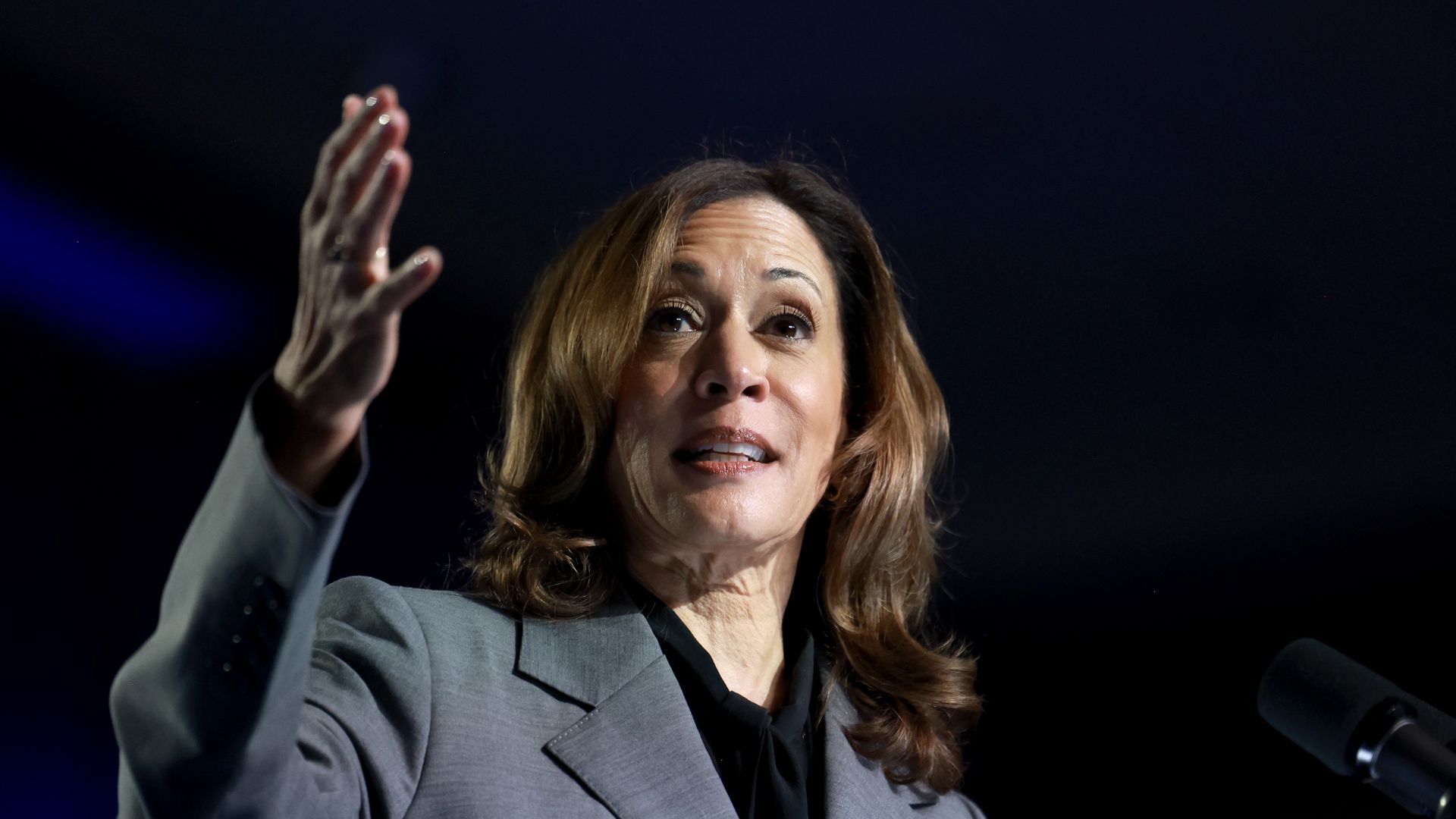 Harris offers more detail on her price-gouging ban in new economic plan