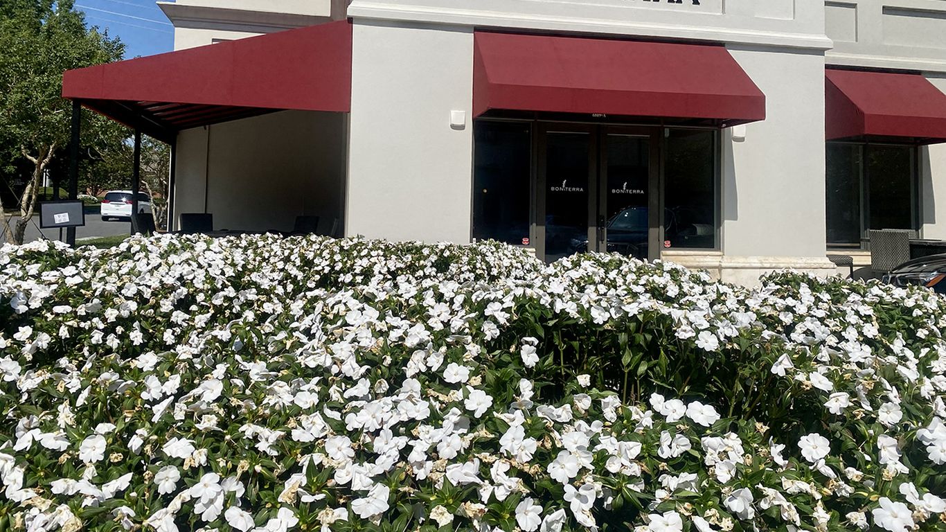 Bonterra opens new SouthPark location with the same fried lobster and ...