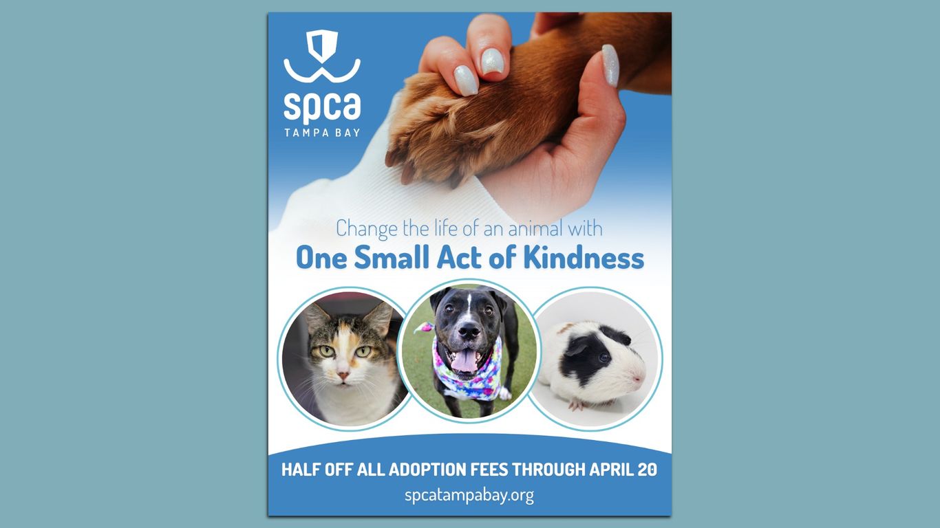 Largo animal shelter to be featured on CBS' Extraordinary World - Axios ...