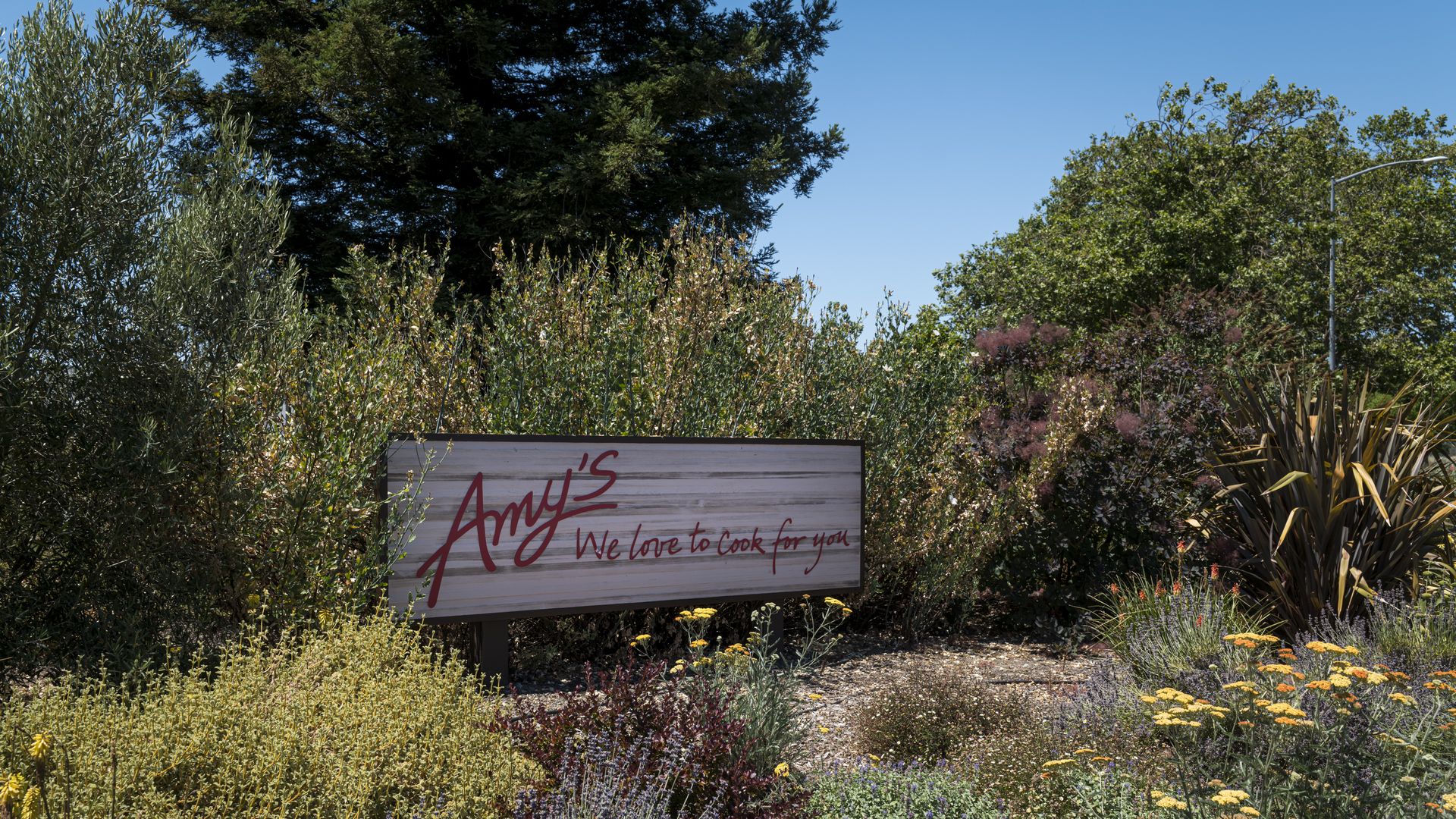 Amy's Kitchen to offer family-sized versions of top entrees